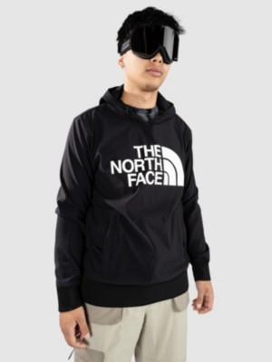 The north face tekno logo hoodie store